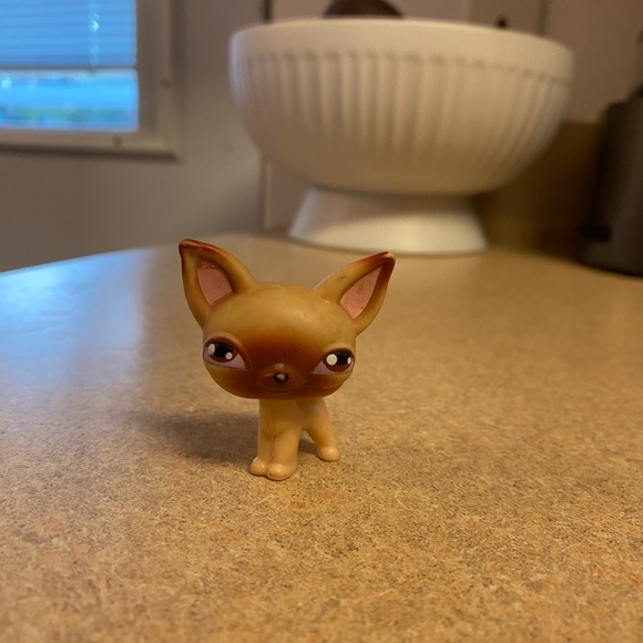 Littlest Pet Shop | Toys | Littlest Pet Shop Chihuahua Rare Good ...